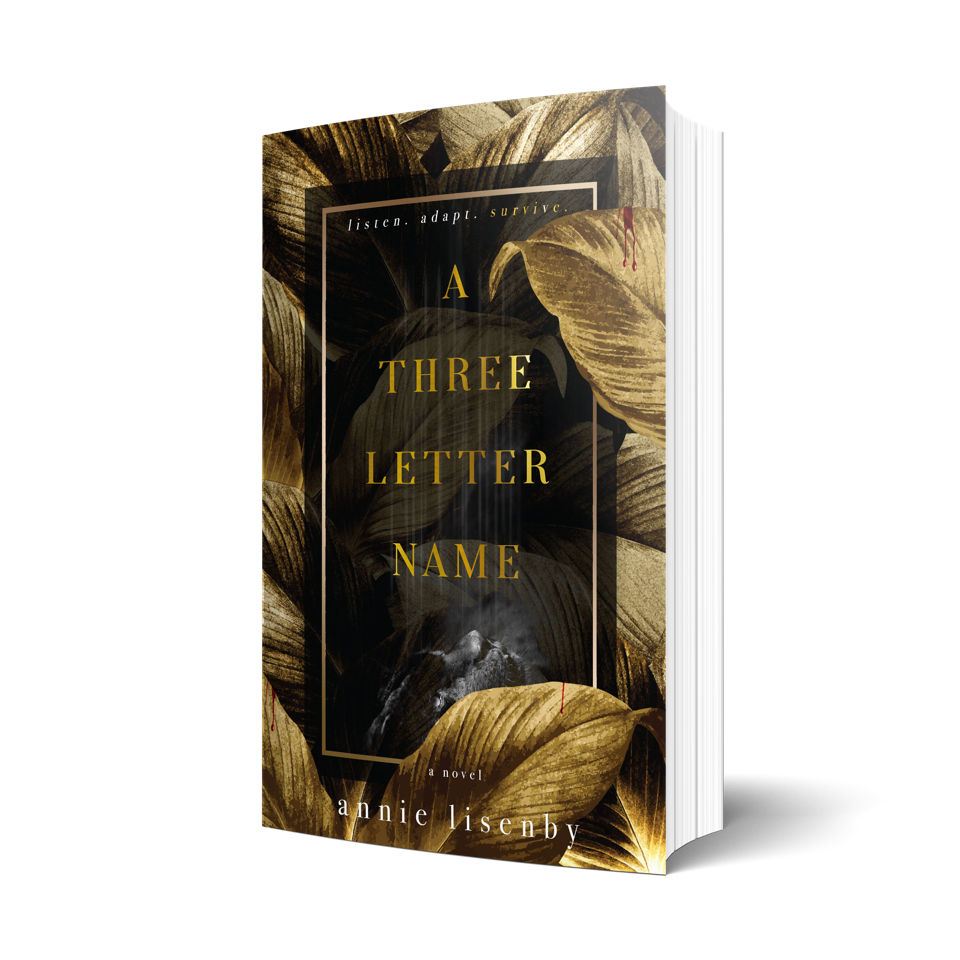 A Three Letter Name By Annie Lisenby The Parliament House Press Shop A Three Letter Name By Annie Lisenby The Parliament House Press Shop